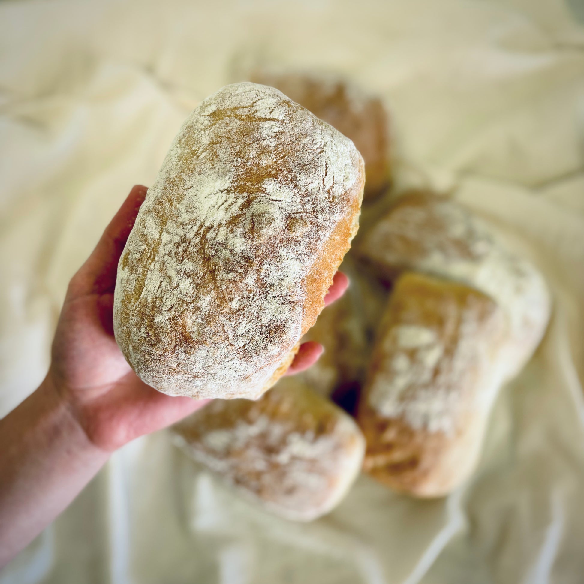 Shop & Order Fresh Ciabattini Bread Daily | Nuca Bakery | Paarl – NUCA ...